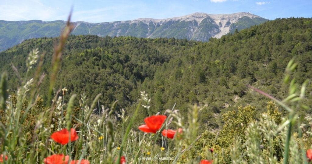 Une itinérance, mille paysages : découvrez les Baronnies provençales à ...